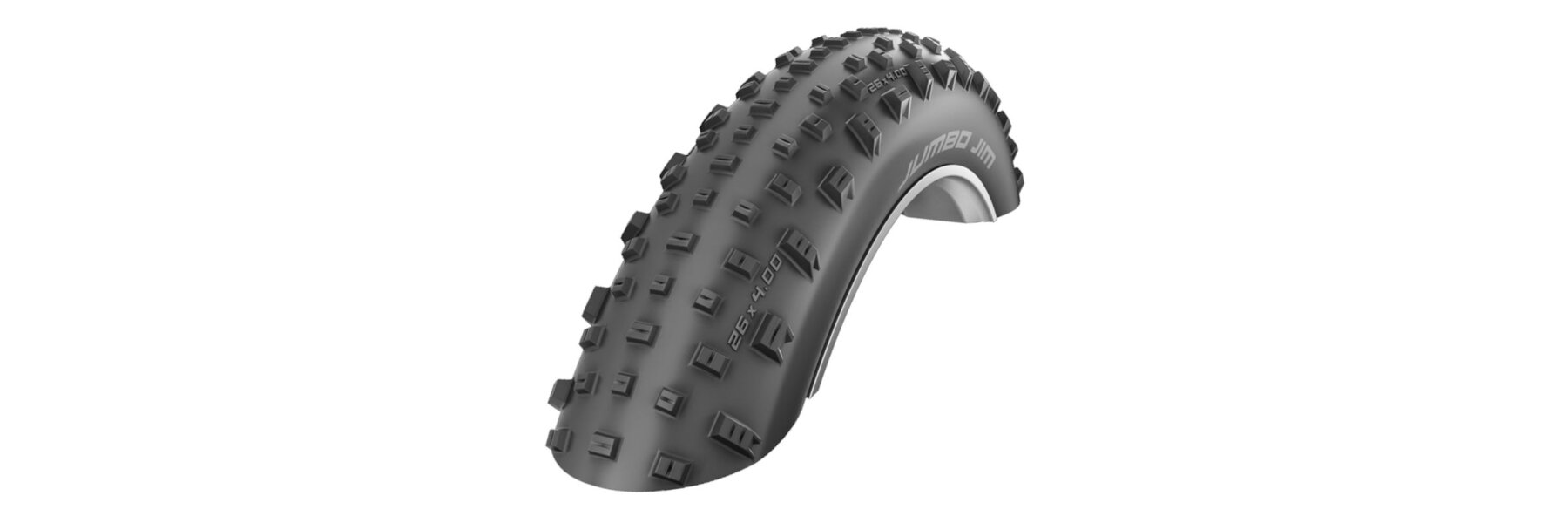 fatbike tire